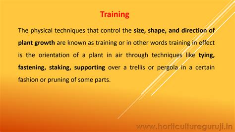 Training And Pruning PPT Horticulture Guruji
