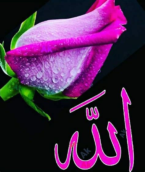 Inspirierende Zitate über Das Leben