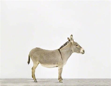 《心理学你妹第九期》：松子的一生 知乎