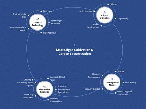 Product Aims To Accelerate Development And Testing Of Macroalgae Based Carbon Sequestration