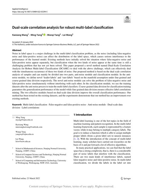 Dual Scale Correlation Analysis For Robust Multi Label Classification Request Pdf