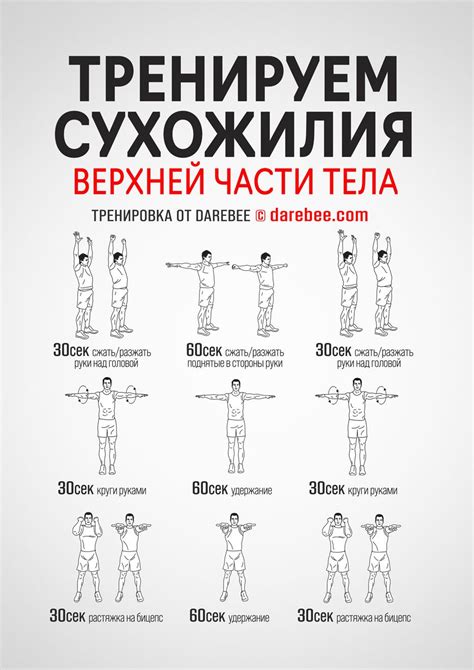 Пин от пользователя Roman Gusev на доске спорт в 2025 г Тренировка бицепсов Тренировка с