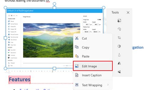 WPF RichTextBox Image Editor Dialog Telerik UI For WPF