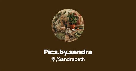 Picsbysandrasandrabeths Favorite Music Links Linktree