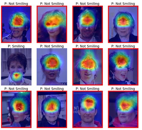 Udis Unsupervised Discovery Of Bias In Deep Visual Recognition Models Deepai