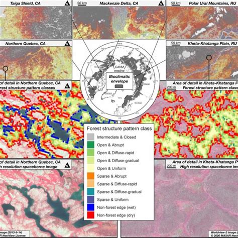 The extent of all forest and non forest edge million km² derived Download Scientific