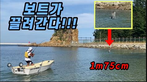 소형보트에서 1미터가 훌쩍넘는 대물을 제압할수 있을까 레저보트 지니보트 Youtube