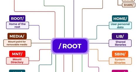 Linux Directory Structure 1w2 Devops
