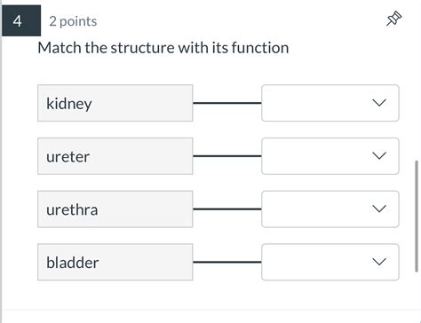 Solved 2 ﻿pointsmatch The Structure With Its Function