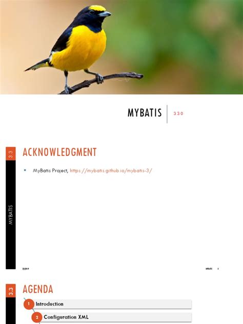 mybatis intro pdf programming paradigms computing