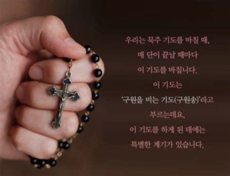 묵주기도 하는 법 묵주기도 빛의 신비 묵주기도 5단