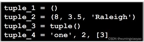 Python 基础系列 16 元组 Tuplepython Tuple的维度 Csdn博客