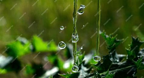 Premium Photo Waterdrops Levitate On Blurred Background