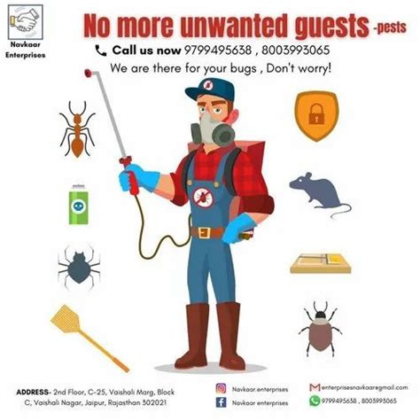 Spider Pest Control Services At Square Feet In Jaipur Id