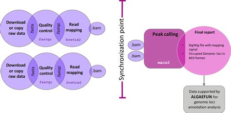 Workflow Of The Automatic Pipeline For The Analysis Of Chip Seq Data In Download Scientific