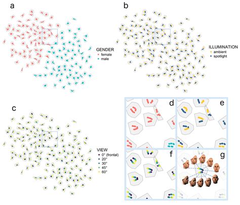 Visualization Of Top Level Dcnn Similarity Space For All Images The