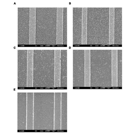 Fabricated Giant Magnetoresistance Gmr Chip A Gmr Chip B 8