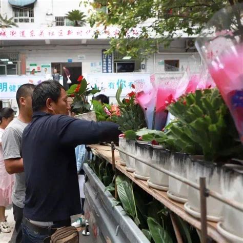 【共创全国文明城 争做儒雅璧山人】3300余户居民参与“红花换绿植”活动 区创文