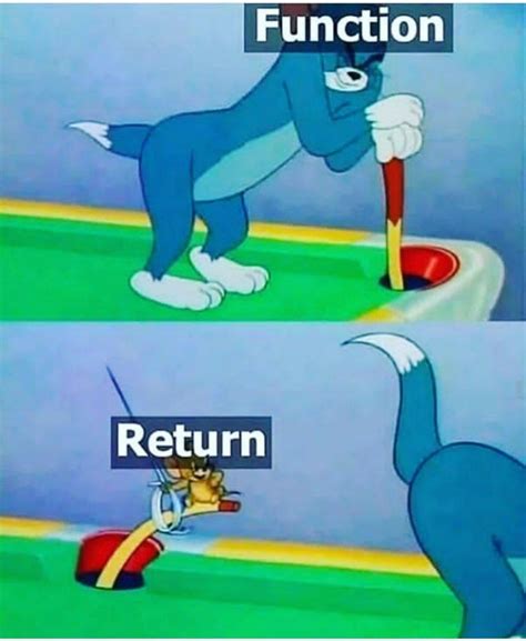 function vs return r programmingmemes