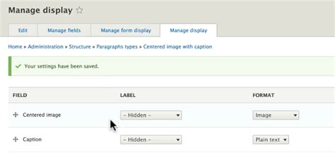 The Ultimate Tutorial For Drupal S Paragraphs Module OSTraining