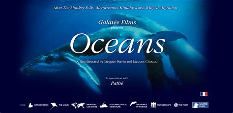Oceans Census Of Marine Life