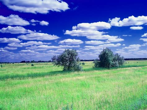 5169x3423 Sky Lines Clouds Trees Grass Wallpaper Coolwallpapersme