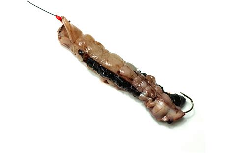 Gemini Spring Loaders Hook Line Tackle