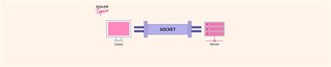 Socket Programming In Computer Network Scaler Topics