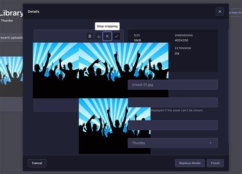 strapi v5 5 0 media library crop option not working in production mode