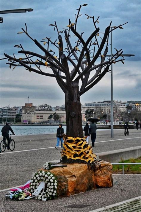 The Tree Of Memory The End Bon Flâneur