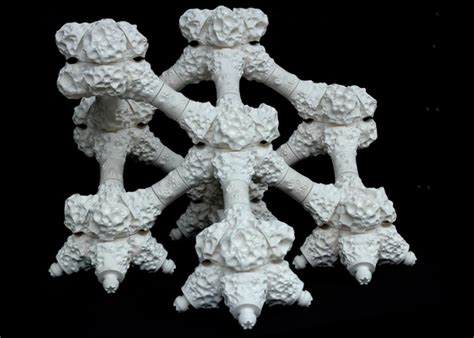 Lego Inspired Modular Structures Could Restore Coral Reefs