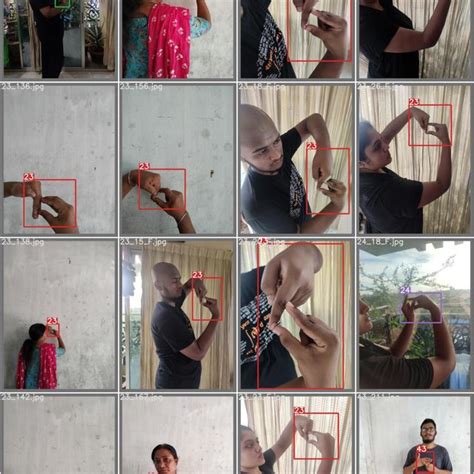 Sample Images After Annotation Labelimg Outputs A Txt File That