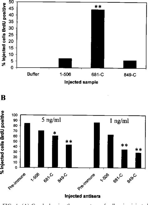 Figure 4 From Pasteurella Multocida Mitogenic Toxin Of Localization Of Functional Domains Of The
