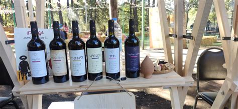 შათირი • Shatiri Lagodekhi