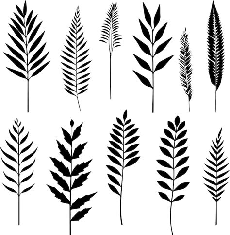 Premium Vector Exploring The Beauty Of Leaf Vectors Natures Art In