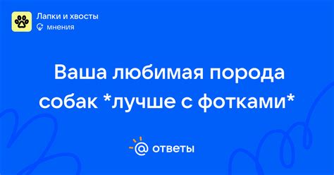 Ваша любимая порода собак лучше с фотками Ответы Mail