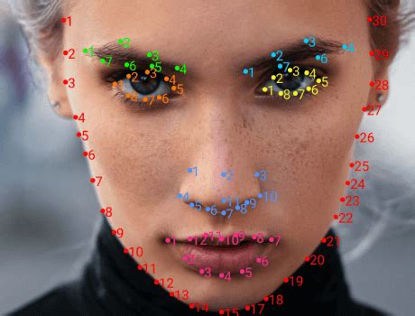 Image Annotation Platform Hybrid And Customizable Isahit S Solution