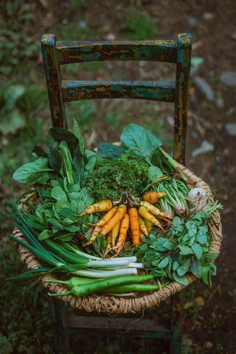 Horticulture Vegetables Photos Download The Best Free Horticulture