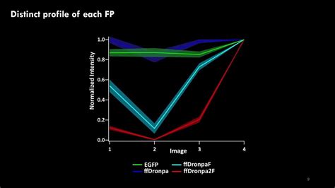Hana Valenta Separation Of Overlapping Fluorophores Using Intra Exposure Excitation Modulation