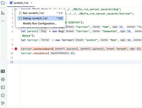 运行和调试 Typescript Intellij Idea 文档