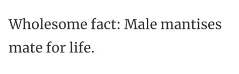 Leave A Lasting Impression With These Entertaining Ice Breaking Facts