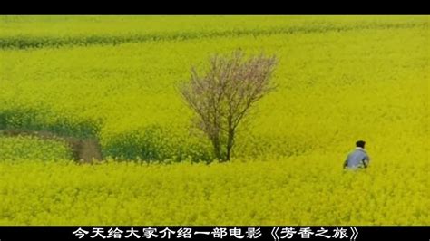 芳香之旅2006年张静初、范伟主演电影搜狗百科
