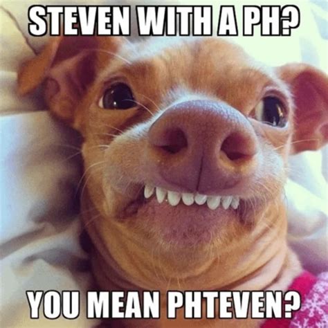 Phteven Dmv Memes Phteven Meme Generator