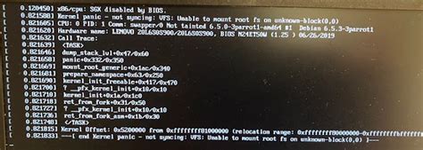 Kernel Panic” Error After Upgrading Parrot Os