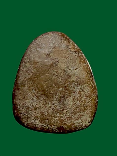 พระสังกัจจายน์ กรุลานดอกไม้ จ สุ คลังพระ99วัด ลงขายพระฟรี