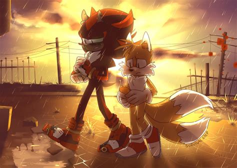 31 Ideas De Sonic Sonic Sonic Fotos Erizos