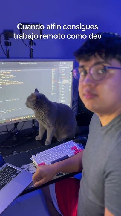 Programming Pyhton Programminglanguage Cat Python Computerlanguage Marketing