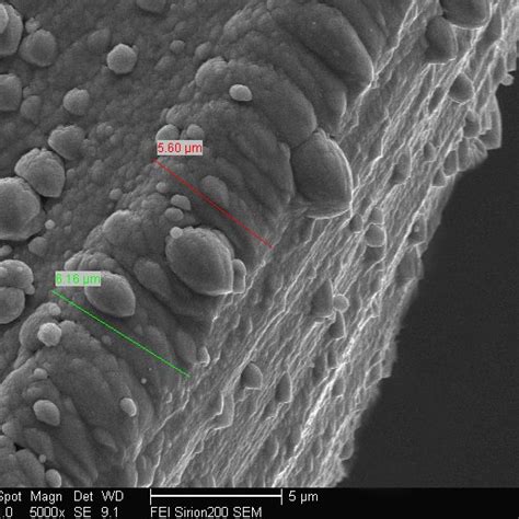 Radius Of The Radial Cutting Edge By Sem See Online Version For Colours Download Scientific