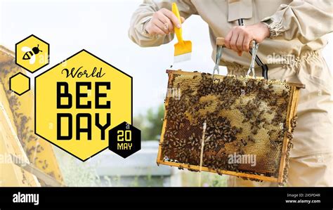 Banner For World Bee Day With Beekeeper Working At His Apiary Stock