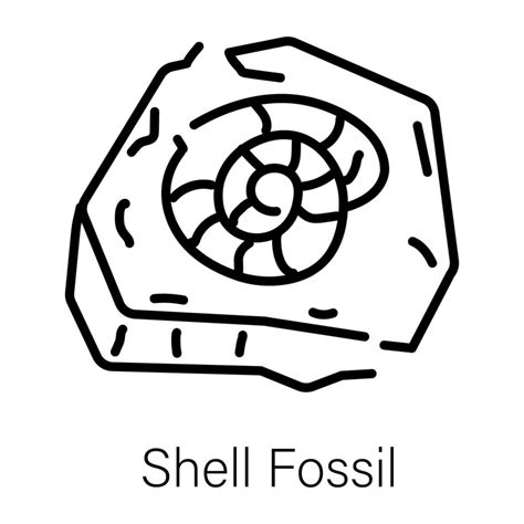 Trendy Shell Fossil 39214335 Vector Art At Vecteezy
